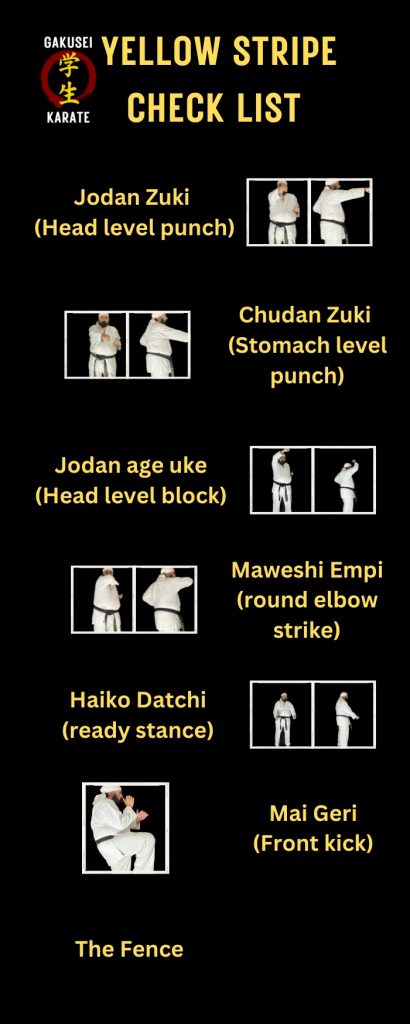 Gakusei Karate 10th Kyu Grading criteria